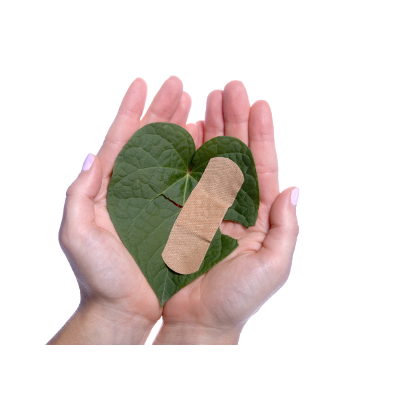 Unlocking the Brain: Treating Trauma & Addiction Recovery Essentials