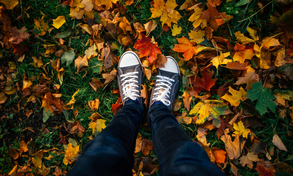 Finding Solid Ground: Even With Self-Harming and Highly Dissociative