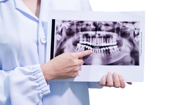 2D Radiography Interpretation Course - Via Zoom | Dentistry Course