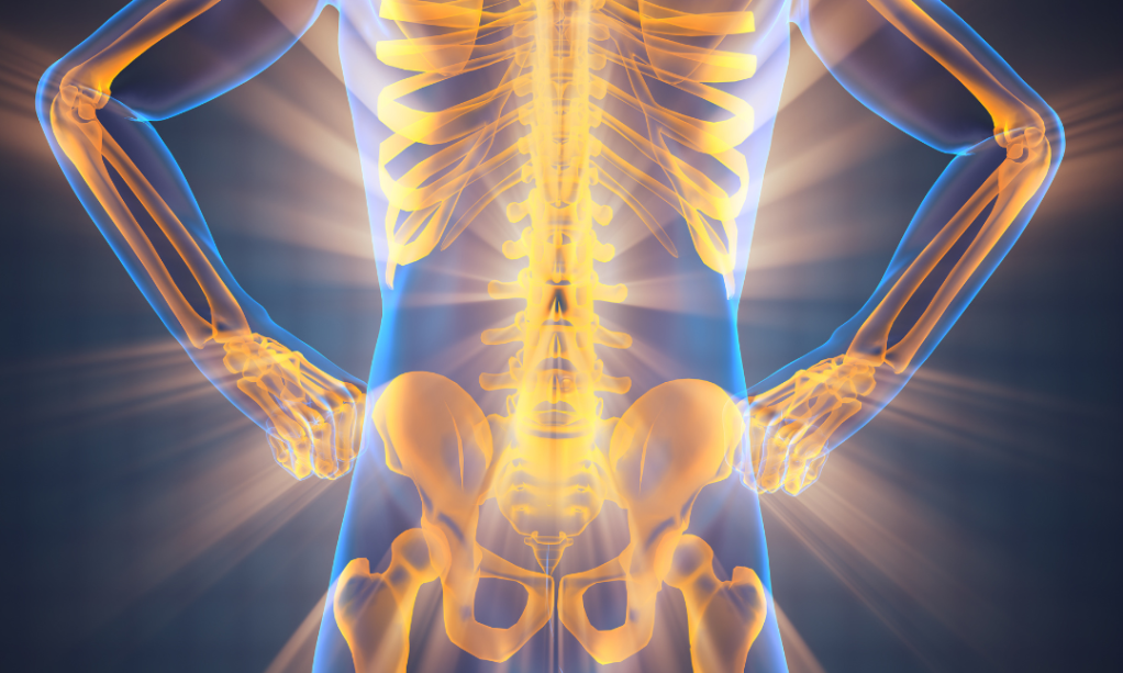 Webinar: Bone Stress | Chiropractic Course | Nexlec.com