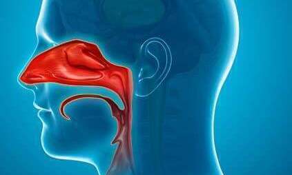 BradCliff Method Level 1 - Online | Osteopathy Course | Nexlec.com