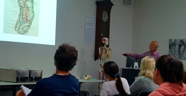 Anatomy Up Close: The Pelvis | Nursing Course | Nexlec.com