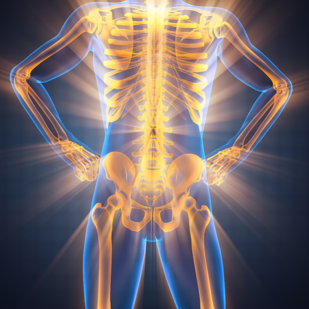 Webinar: Bone Stress | Chiropractic Course | Nexlec.com